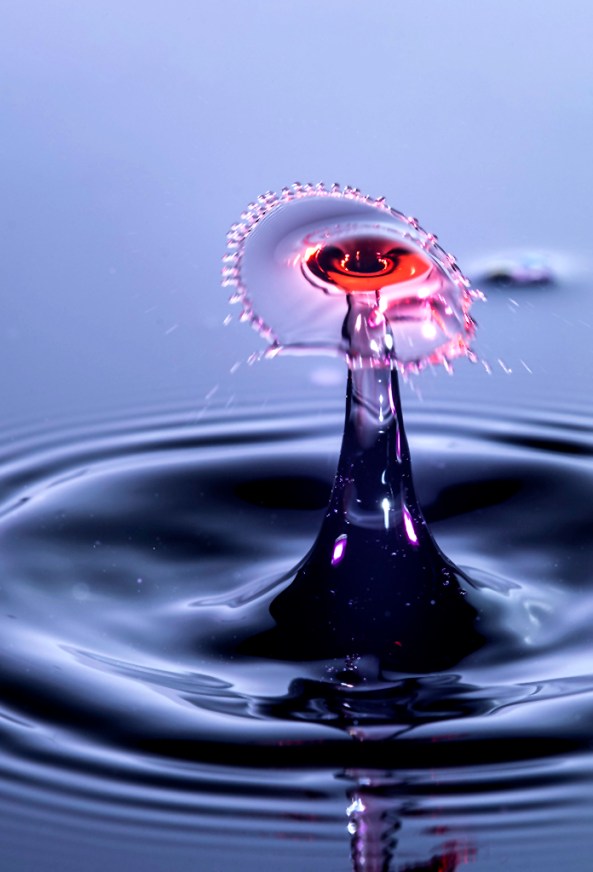 Water Drop Photography | Mark Hilliard Atelier's Blog
